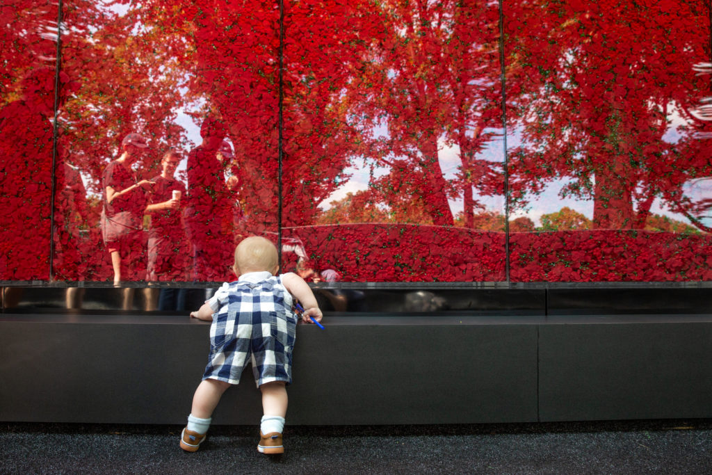 In Frame: June 12, 2018 - Exposed DC