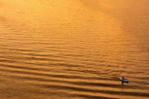 2020 Best in Show Winner: Danielle Press - Exposed DC